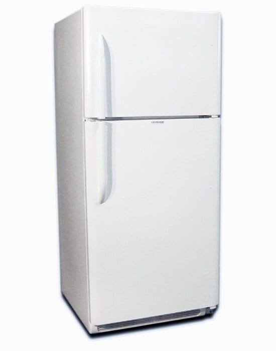 EZ Freeze 21 Cu. Ft. White Natural Gas Refrigerator EZ-21W-NG - Ben's Deals